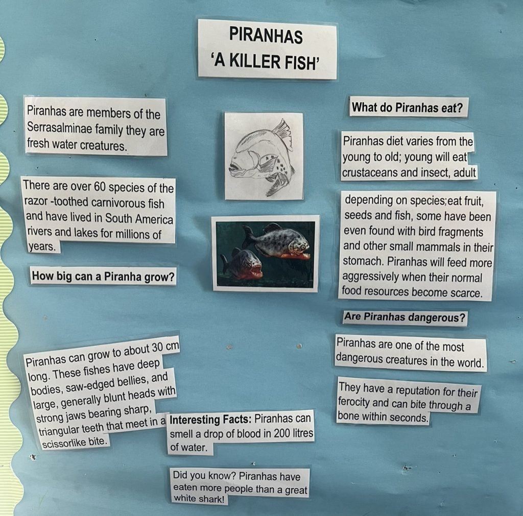 SCHOOL DISPLAYS – Garden of Knowledge